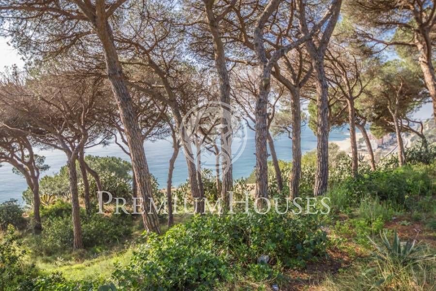 Land With Magnificent Views Sea Arenys De In Arenys De Mar, Catalonia ...