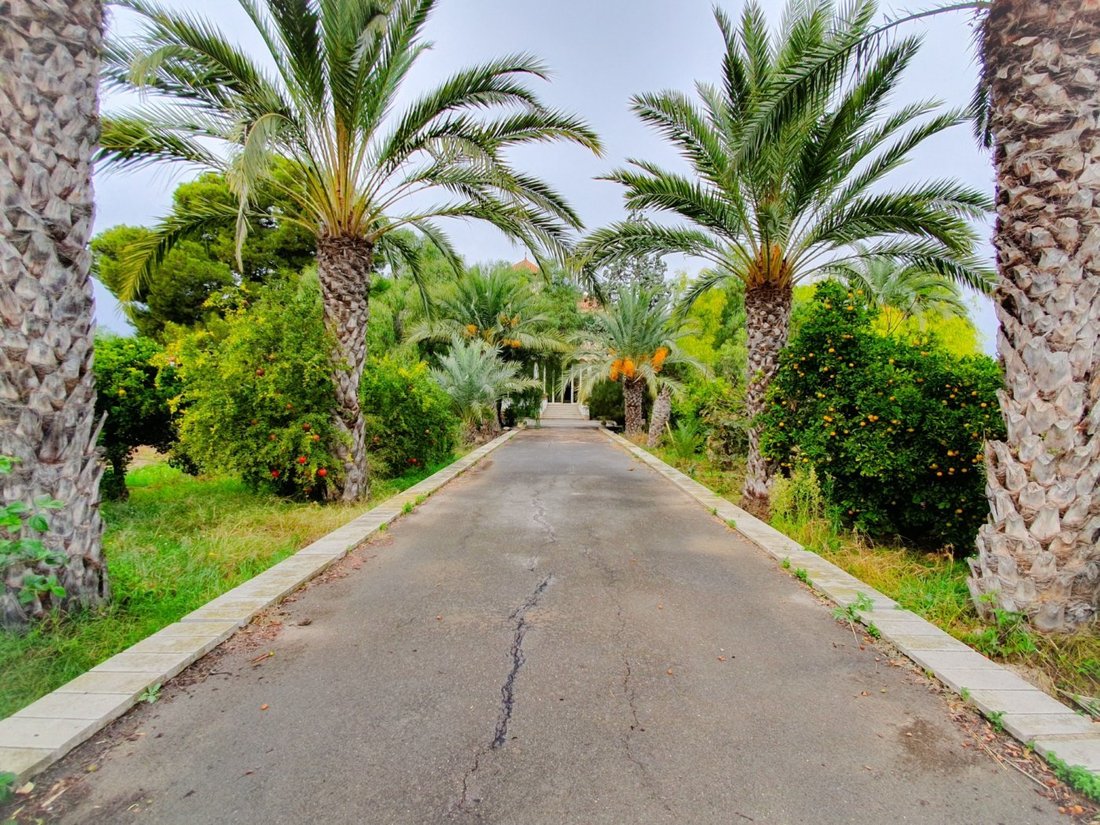 Elche Villa In Elx, Valencian Community, Spain For Sale (10904287)