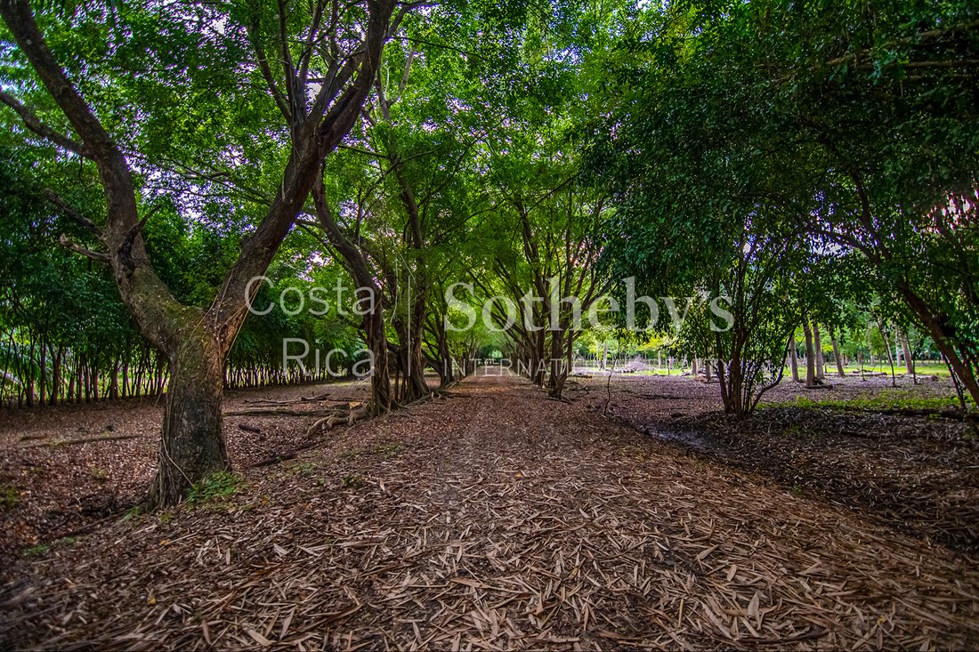 Lepanto Bay Paradise In Lepanto, Puntarenas Province, Costa Rica For ...