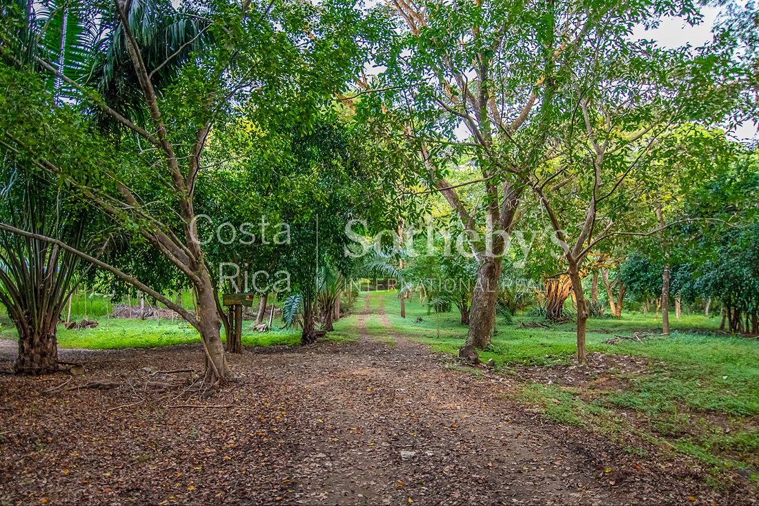Lepanto Bay Paradise In Lepanto, Puntarenas Province, Costa Rica For ...