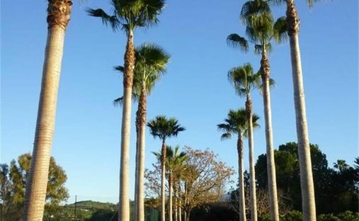 Luxury farm ranches for sale in Andalusia, Spain | JamesEdition