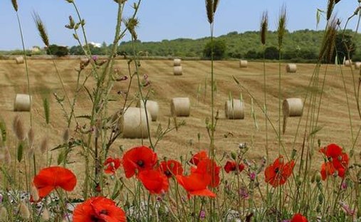 Luxury homes for sale in Surbo, Apulia, Italy | JamesEdition