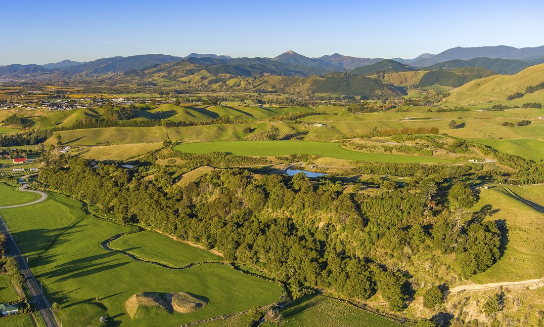 Falcon Ridge Estate In Brightwater, Tasman, New Zealand For Sale (11494320)