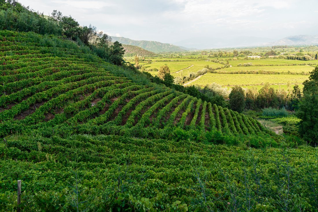 Agricultural Farm In San Fernando In O'higgins, Chile For Sale (11379527)