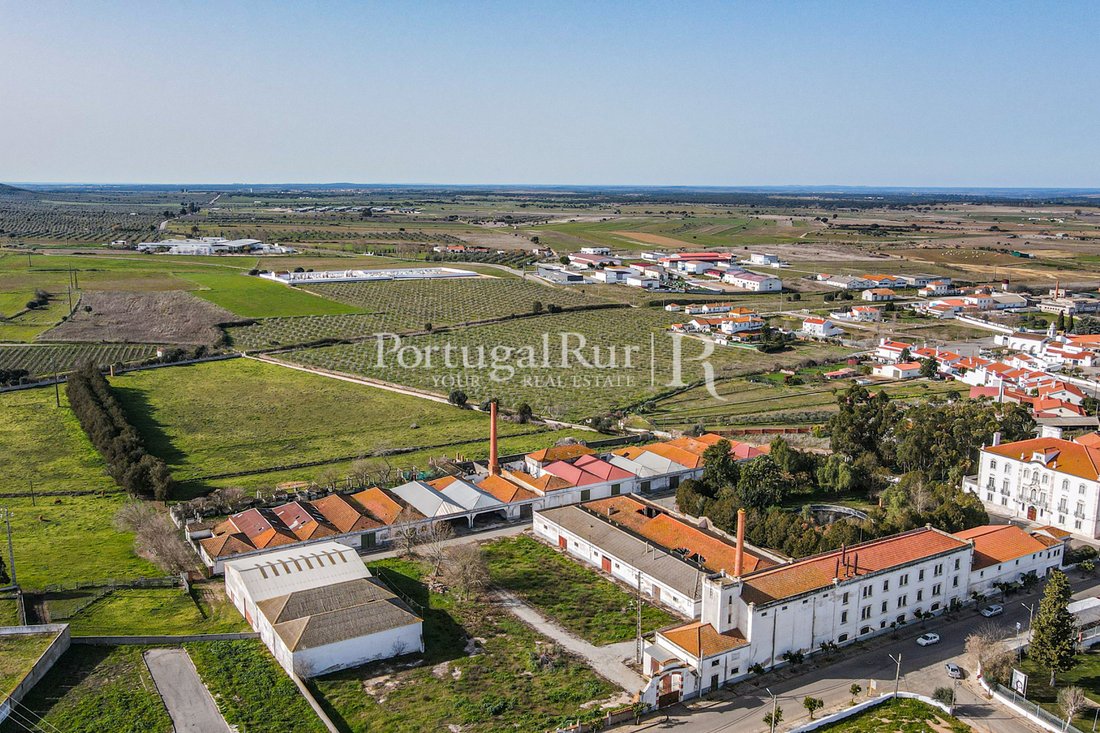Farm Of About 9 Ha With Magnificent In Sousel, Portalegre District ...