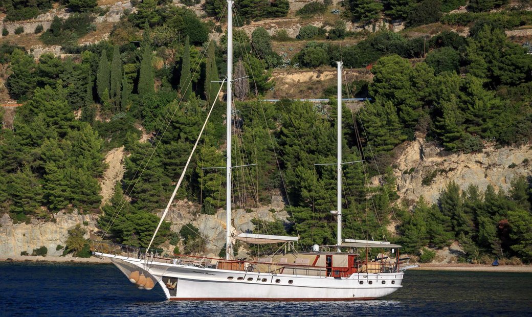 Custom Summer Princess For Rent (11899522)