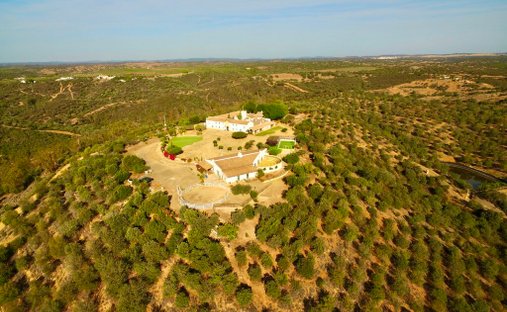Luxury farm ranches for sale in Sevilla, Andalusia, Spain | JamesEdition
