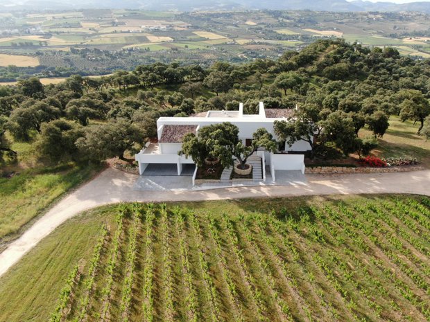 Luxury modern homes for sale in Ronda, Andalusia, Spain | JamesEdition