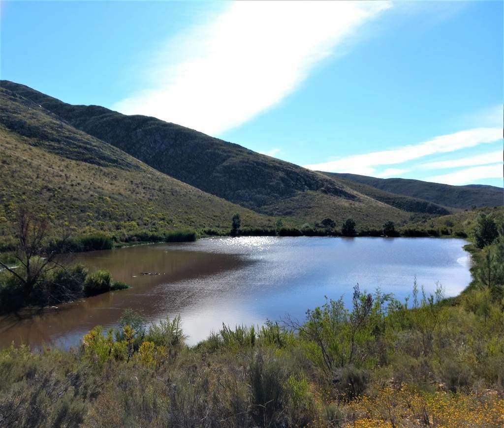 1,080 Ha Farm For Sale In George Rural In George, Western Cape, South ...