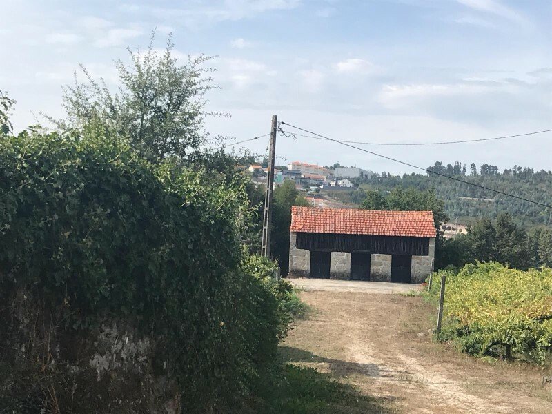 Farm Sale Lousada In Figueiras E Covas, Portugal For Sale (12094791)