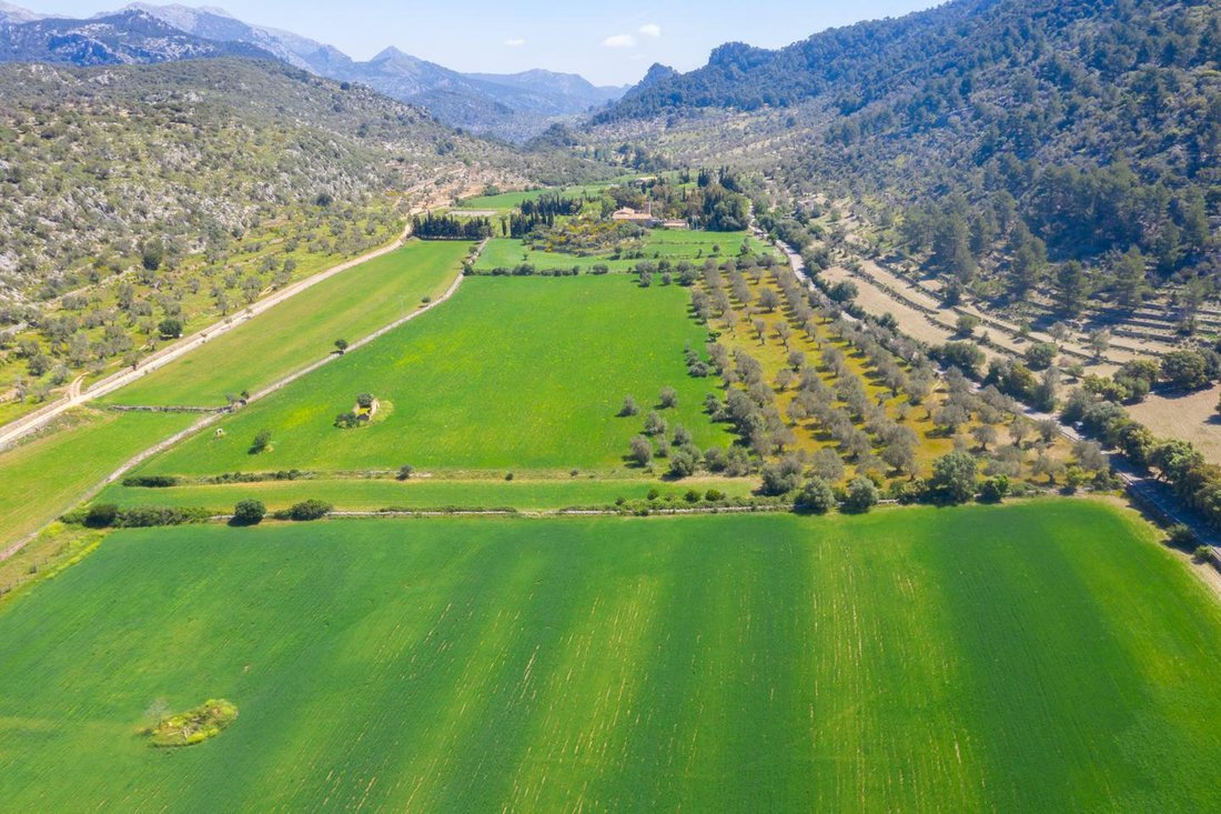 Orient Country Estate In Orient, Balearic Islands, Spain For Sale ...