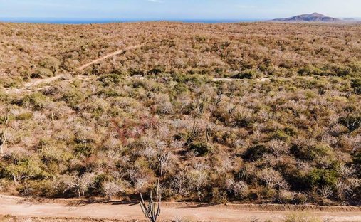 Luxury homes for sale in El Cardón, Baja California Sur, Mexico ...
