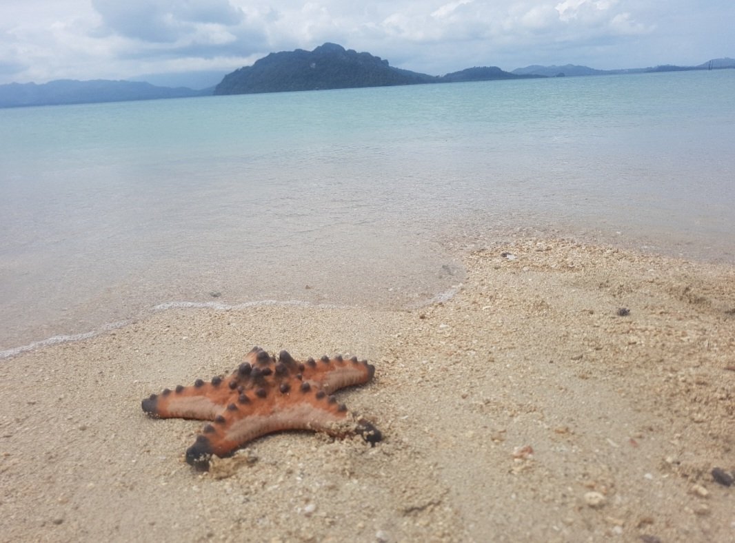 New...Updated...Incredibly Stunning Private In Palawan, Mimaropa ...