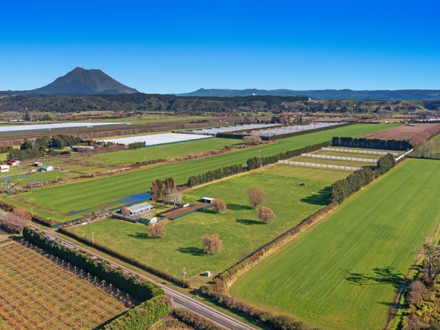 Luxury farm ranches with garden for sale in Paengaroa, Bay of Plenty ...