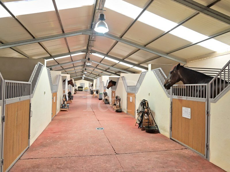 Equestrian Farm With 4 Acres Of Land In Algueirão, In Sintra, Lisbon ...