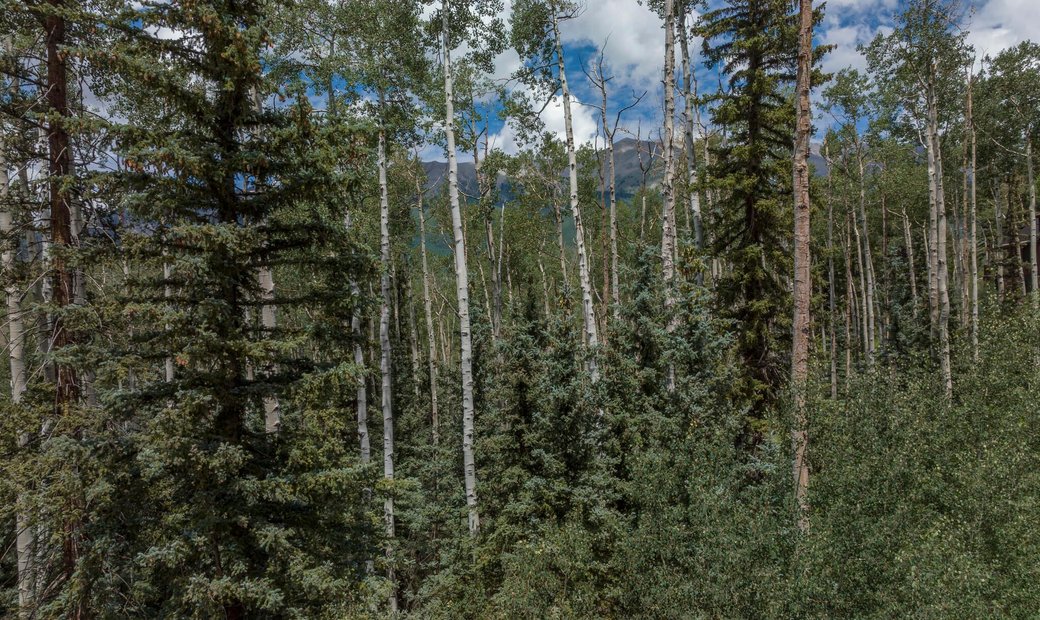 Superb Building Site In Premier In Mountain Village, Colorado, United ...