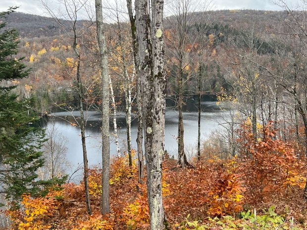 Luxury land for sale in Alleyn-et-Cawood, Quebec, Canada | JamesEdition