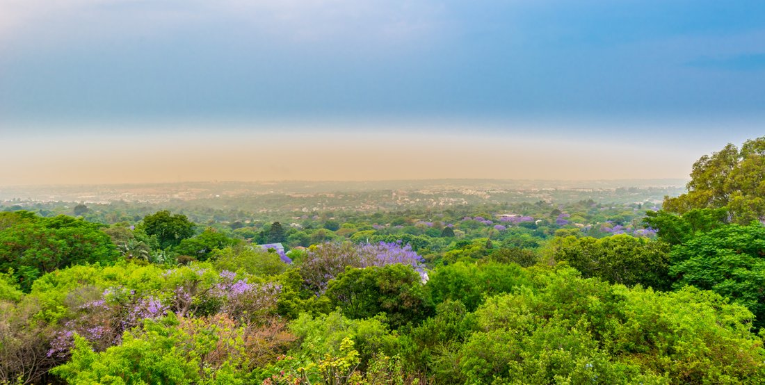 Bryanston In Sandton, Gauteng, South Africa For Sale (12318717)