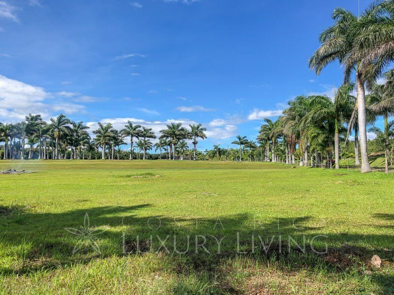 19878 Properties For Mixed Use Development In Route In Alajuela, Costa ...