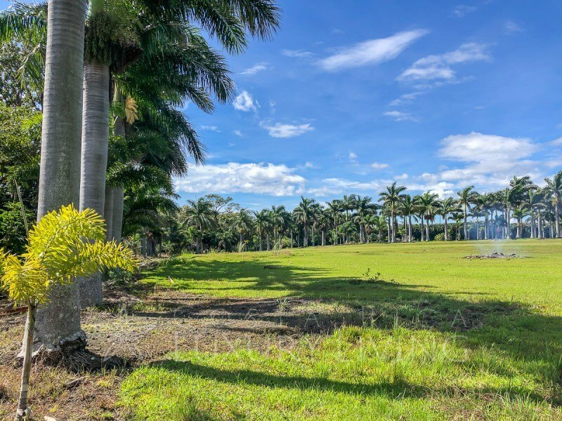 19878 Properties For Mixed Use Development In Route In Alajuela, Costa ...
