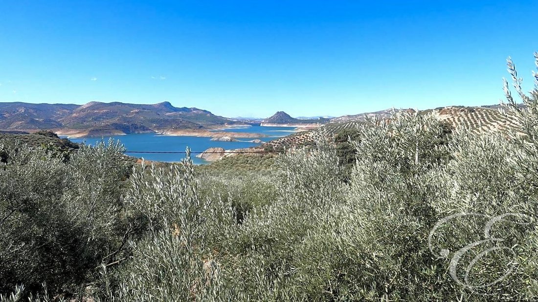 Rute Villa In Rute, Andalusia, Spain For Sale (12341137)