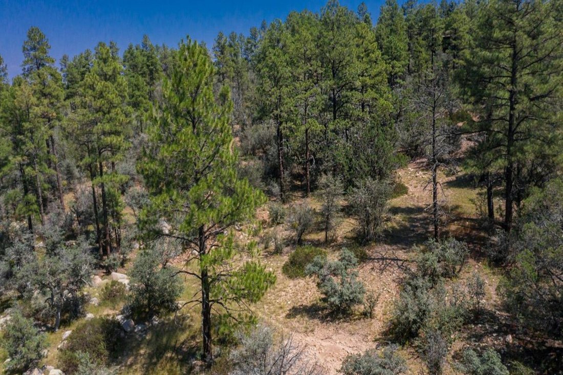 White Spar Road In Prescott, Arizona, United States For Sale (12343261)