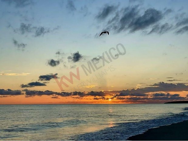 Luxury homes for sale in La Ribera, Baja California Sur, Mexico ...