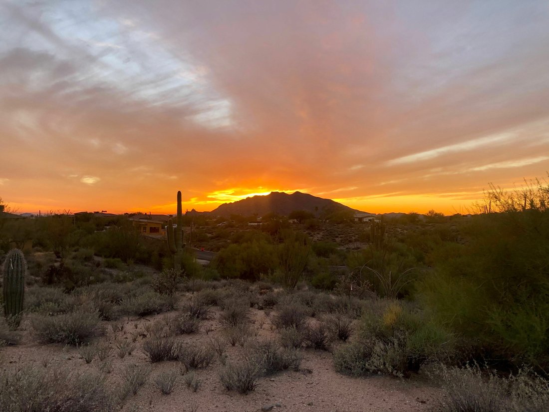 Gambel Quail Preserve 215 In Scottsdale, Arizona, United States For ...