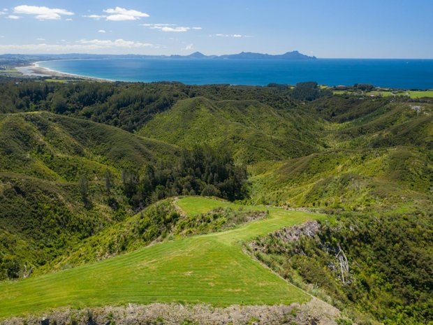 Luxury oceanfront land for sale in Langs Beach, Northland, New Zealand ...