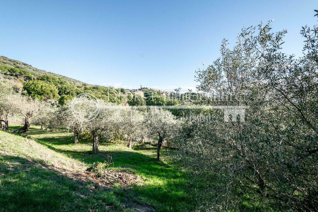 Villa Ammiraglia A Castelnuovo Magra In Castelnuovo Magra, Liguria ...