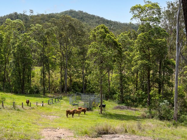 Luxury homes for sale in Highvale, Queensland, Australia | JamesEdition