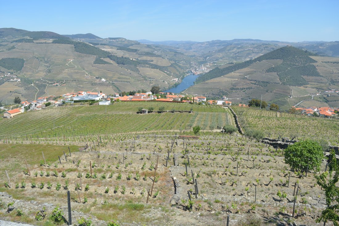 Farm With View Of Douro River. Tourist In Pinhao, Vila Real District ...