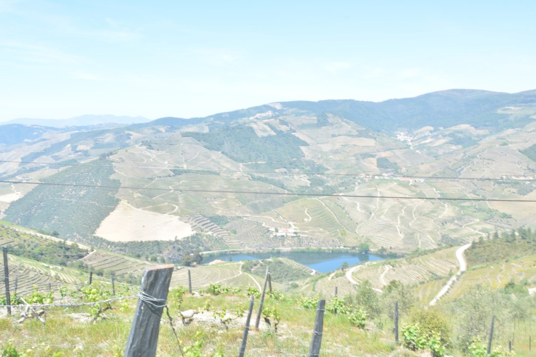 Farm With View Of Douro River. Tourist In Pinhao, Vila Real District ...