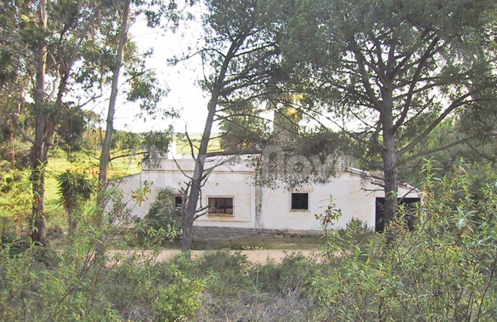Faro Farm In Faro, Algarve, Portugal For Sale (12452211)