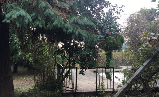 Luxury farm ranches for sale in Baltar, Porto District, Portugal ...