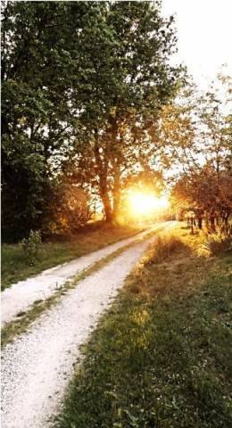 Rustico In Vendita A Altopascio(lu) In Ottimo In Spianate, Tuscany ...