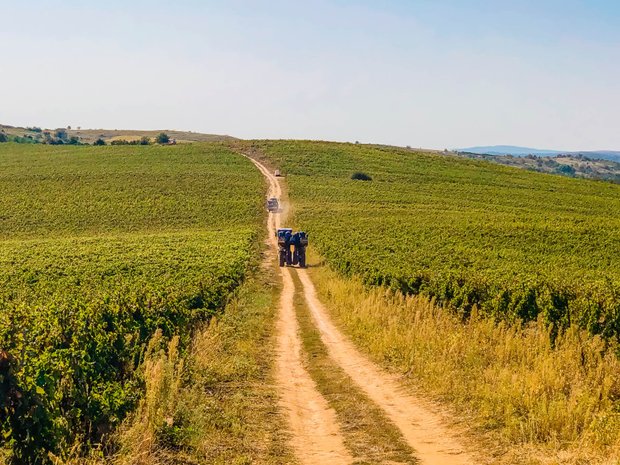 Luxury farm ranches for sale in Arad County, Romania | JamesEdition