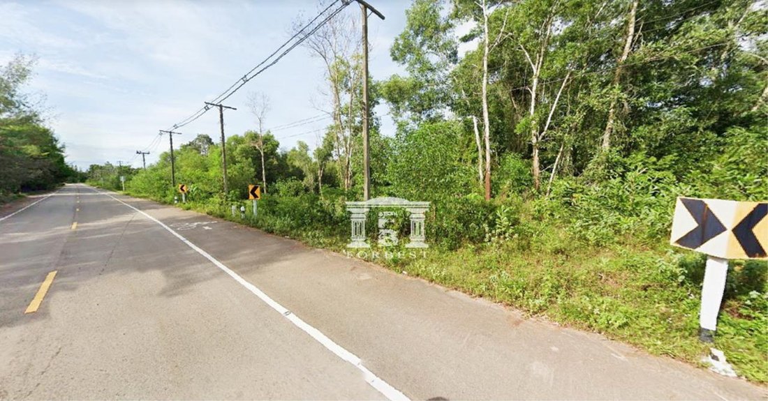 42626 ขายที่ดิน 12 3 75 ไร่ อำเภอปะทิว In Pathio District, Thailand For ...