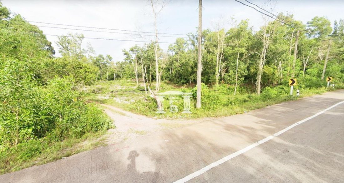 42626 ขายที่ดิน 12 3 75 ไร่ อำเภอปะทิว In Pathio District, Thailand For ...