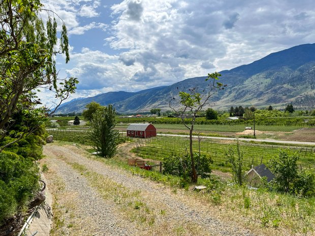 Luxury renovated homes for sale in Cawston, British Columbia, Canada ...