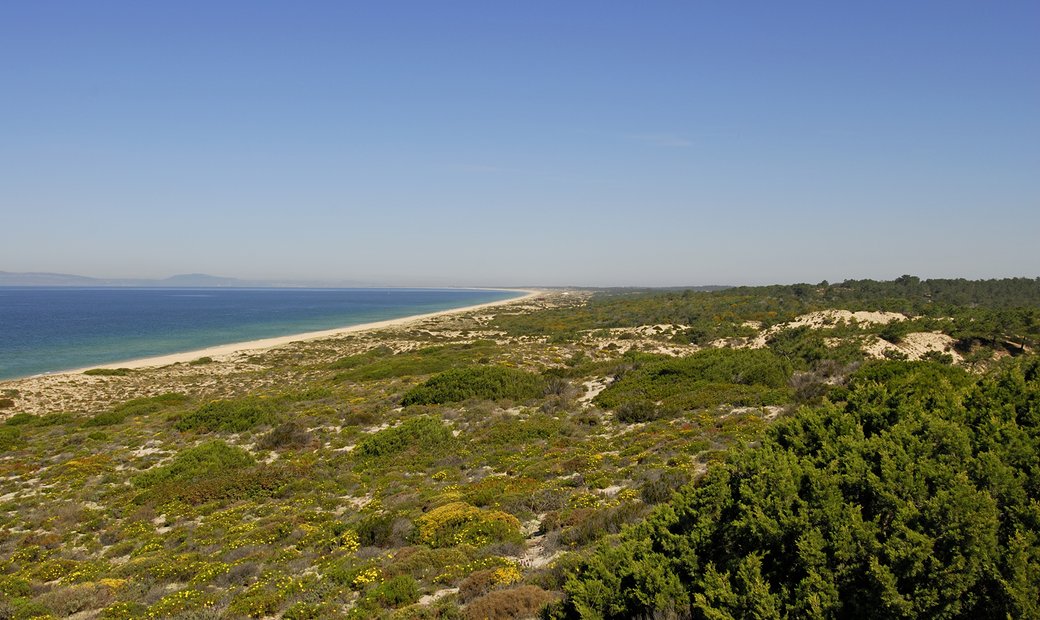 Investment Opportunity, Land Plot , Comporta In Comporta, Portugal For ...