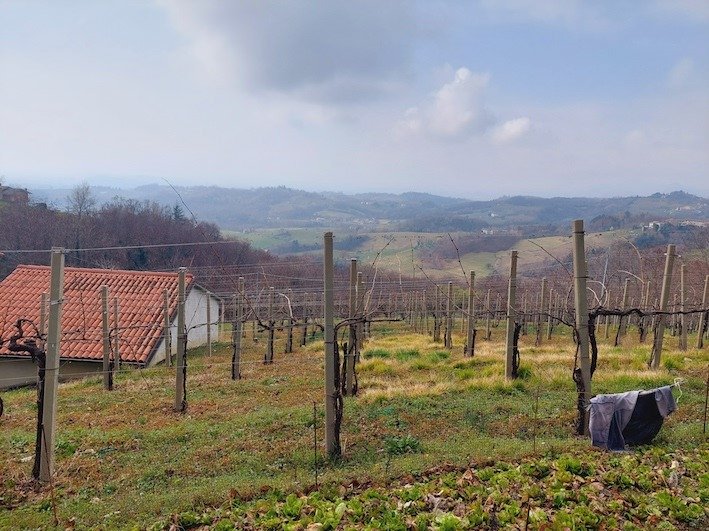 Treviso Land In Montaner, Veneto, Italy For Sale (12724525)