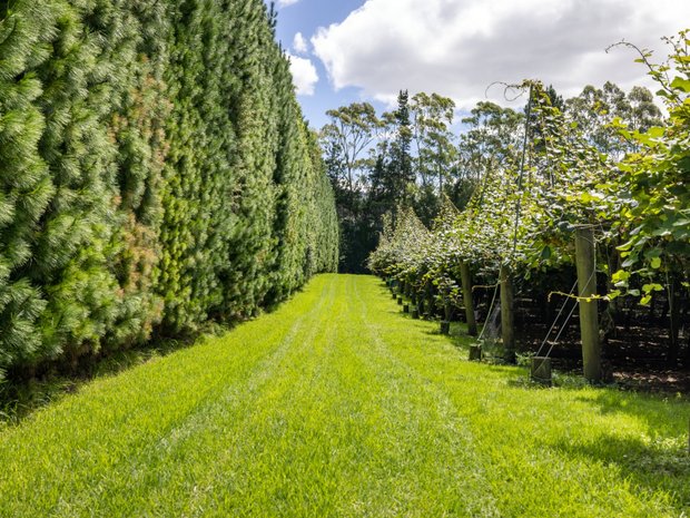 Luxury farm ranches for sale in New Zealand | JamesEdition