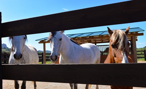 Luxury farm ranches for sale in Andalusia, Spain | JamesEdition