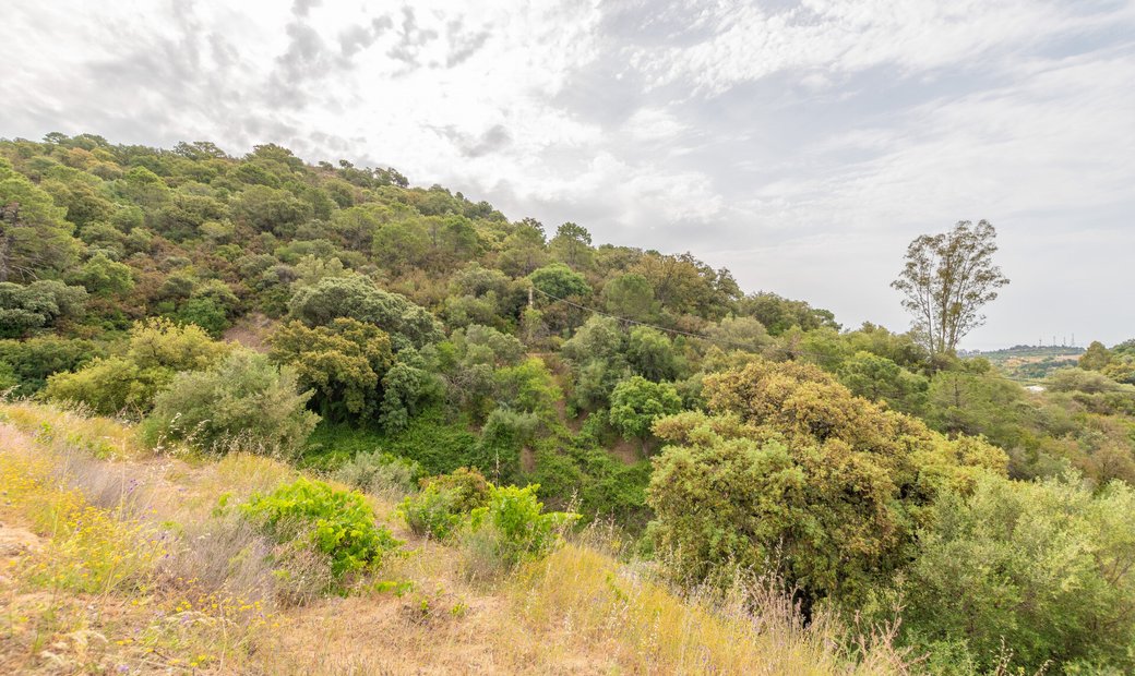 Land, Plot, Sea Views, Estepona, El Velerín, New In Estepona, Andalusia ...