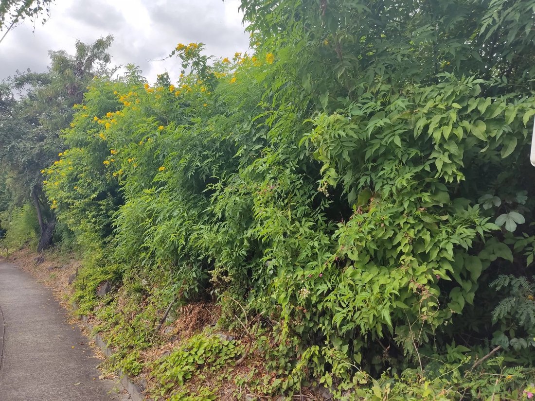 La Possession Land In La Possession, Réunion For Sale (12812665)