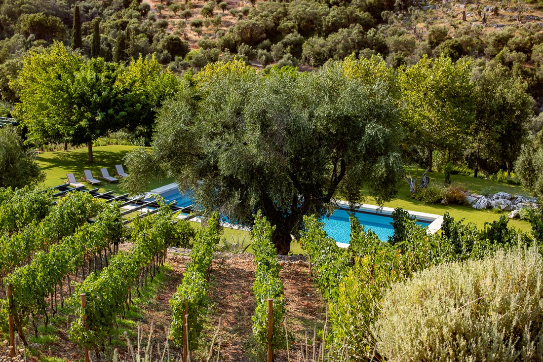 Country Estate In Corfu, Peloponnese, Western Greece And The Ionian ...