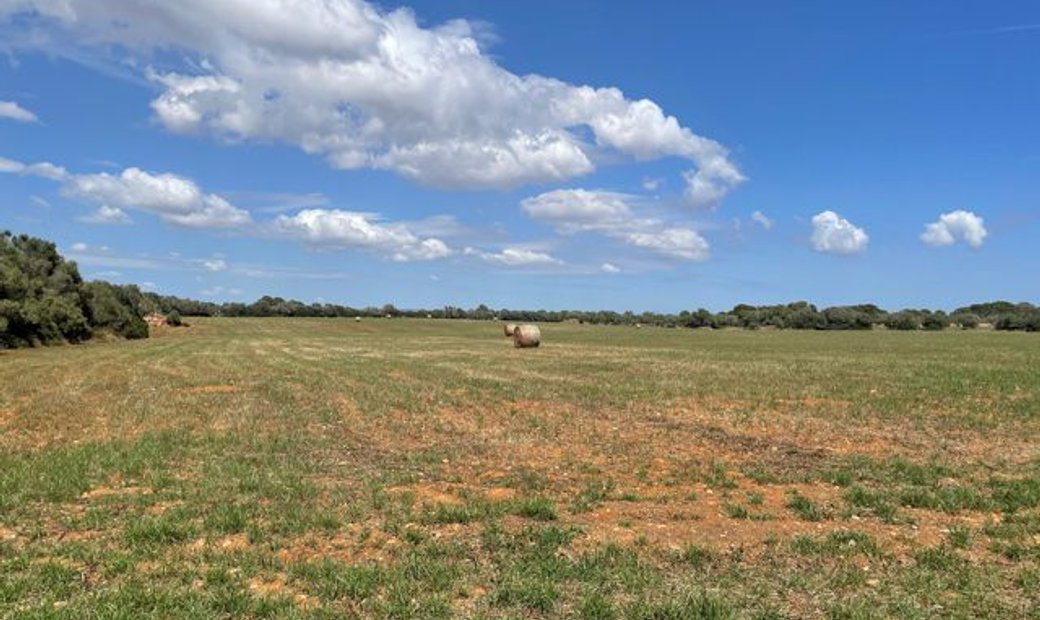Finca Rústica Venta Islas Baleares In Badia Gran, Balearic Islands ...