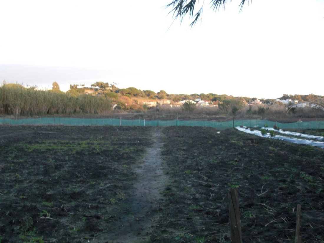 Finca Rústica Venta Cádiz In Cadiz, Andalusia, Spain For Sale (12834927)