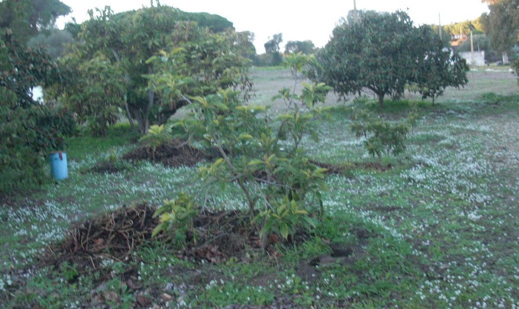 Finca Rústica Venta Cádiz In Cadiz, Andalusia, Spain For Sale (12834927)